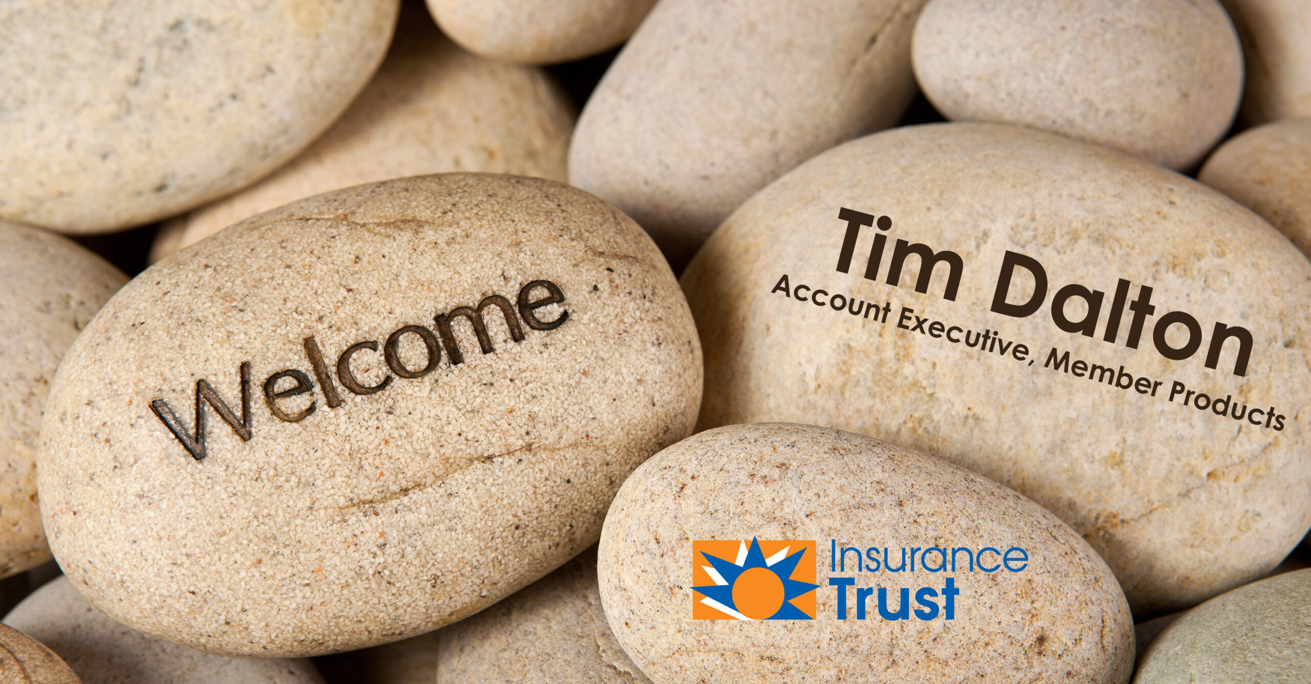 New Account Executive for Member Products - CU Insurance Solutions