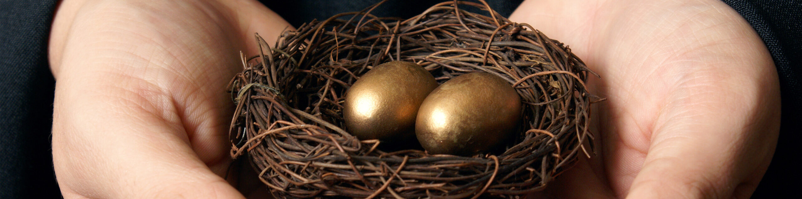 Asset Protection - CU Insurance Solutions